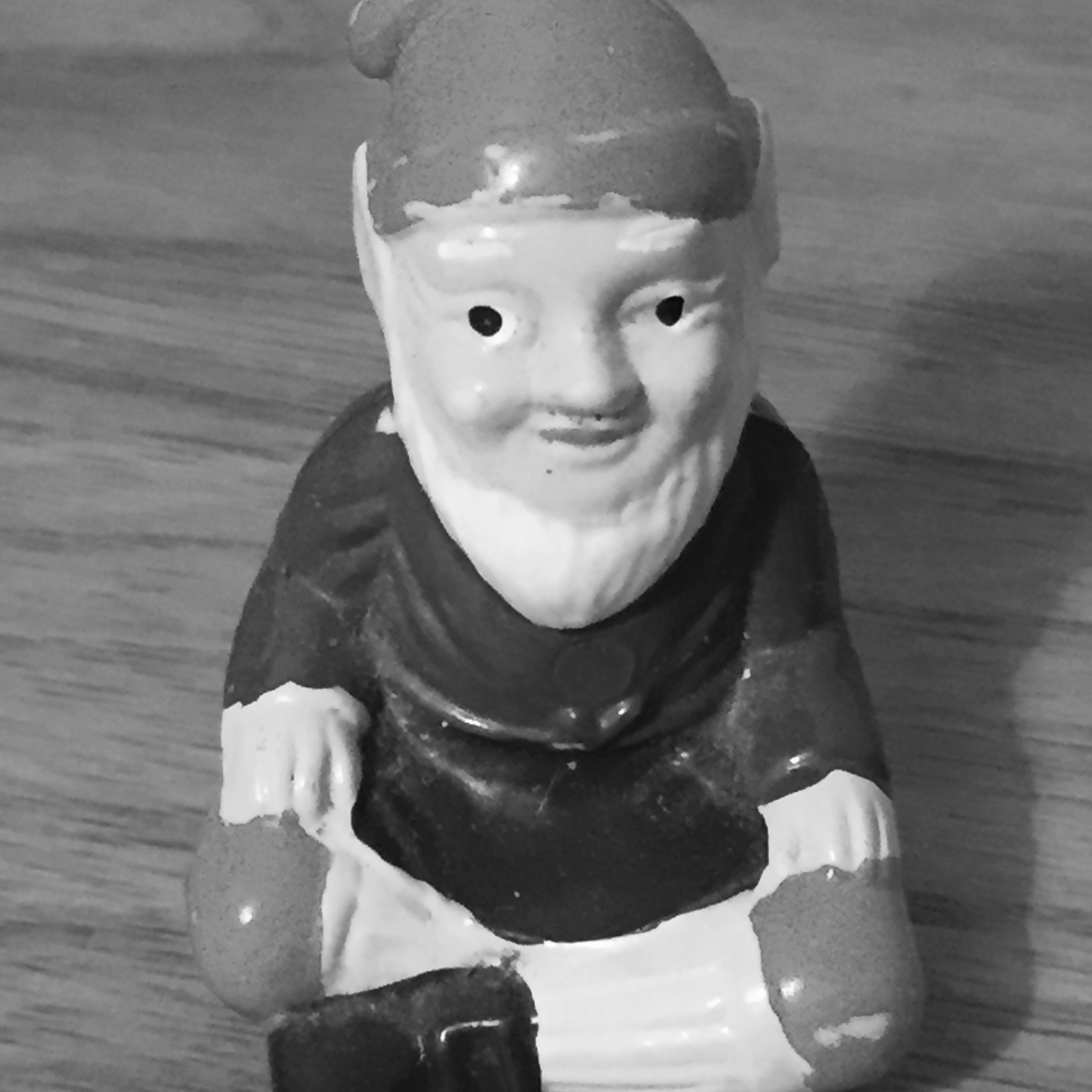 Gnomeo – social work in 40 objects